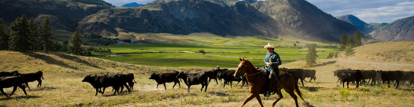 Snake River Farms - Who We Are